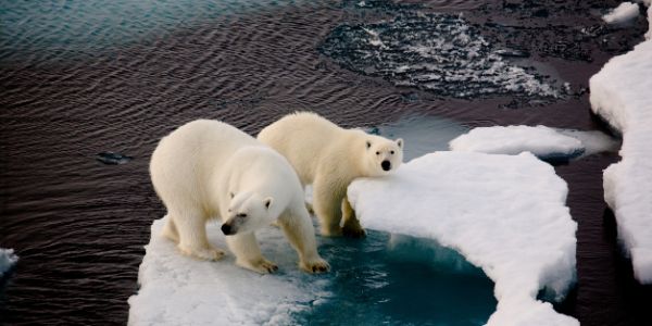 Klimawandel macht vielen Deutschen Angst Klimawandel macht vielen Deutschen Angst